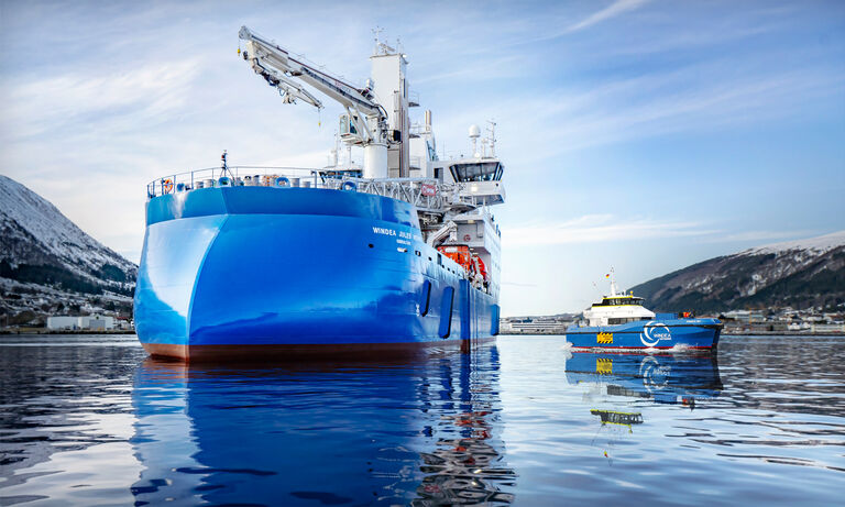 WINDEA unterstützt seit 10 Jahren erfolgreich Offshore-Wind-Projekte ...